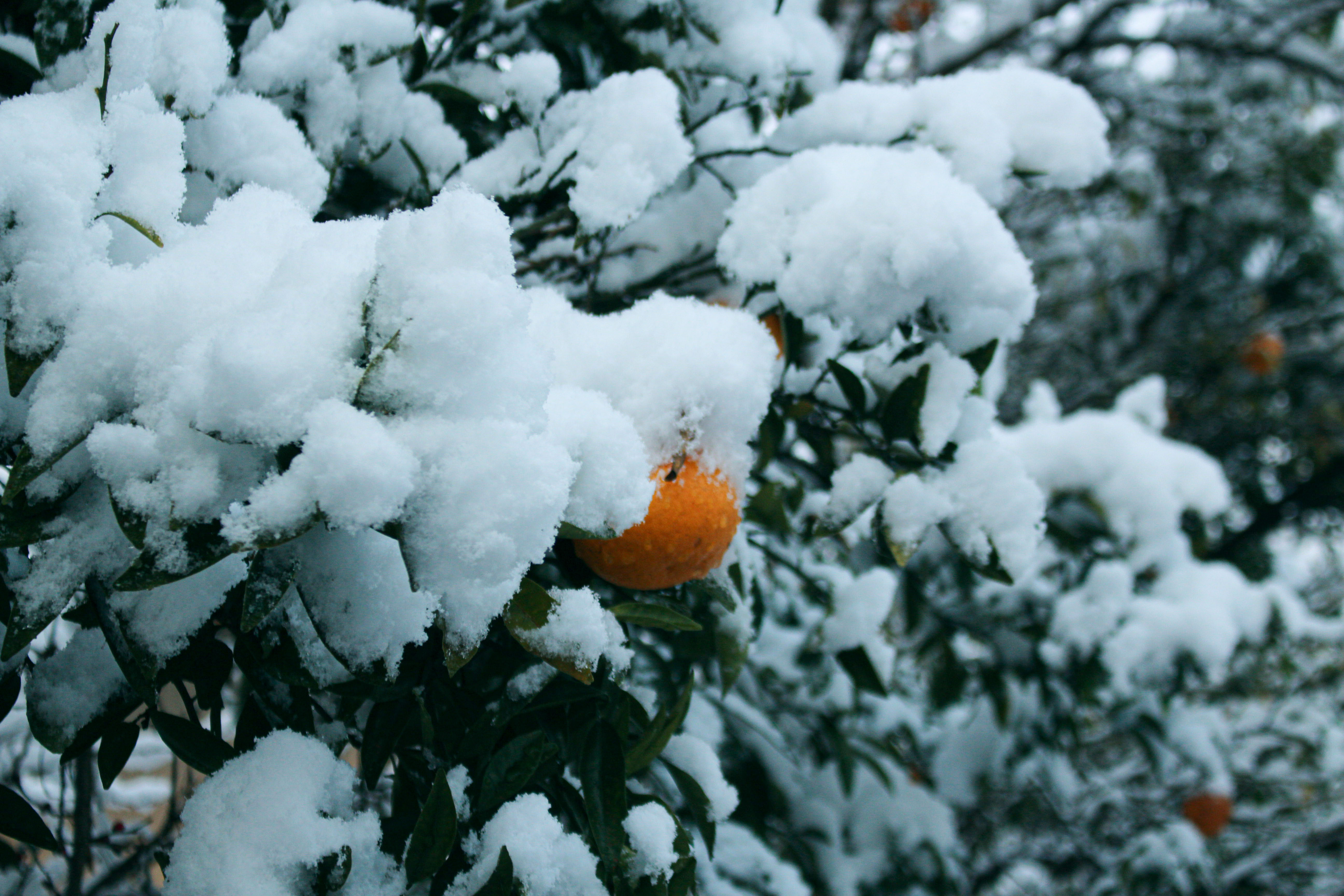 Transition into Spring Outfits
